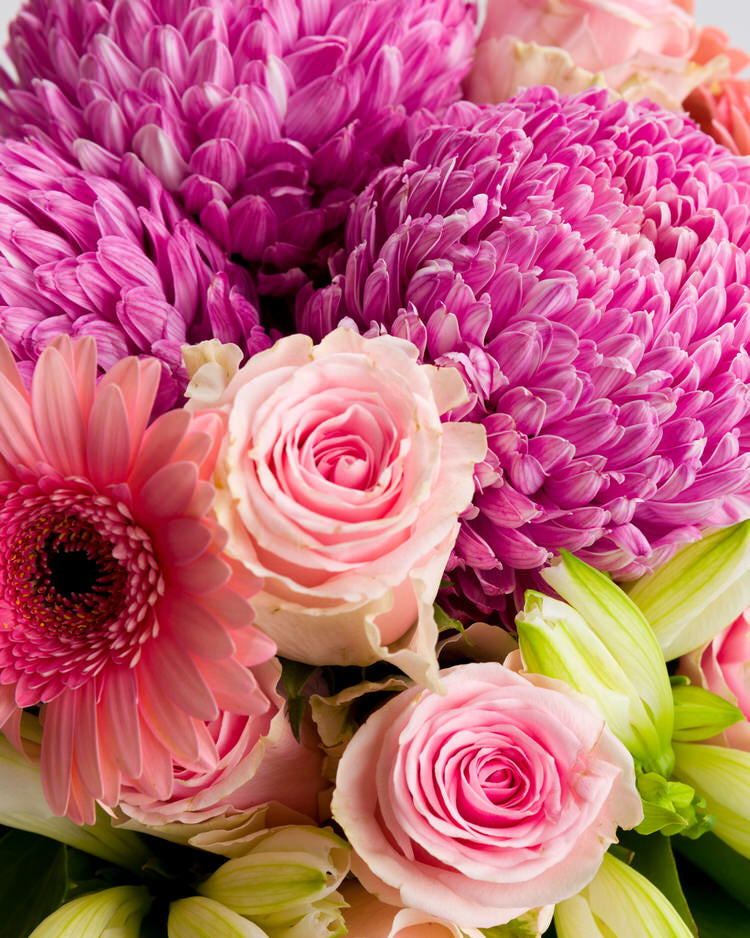 Flowers – flowerdose